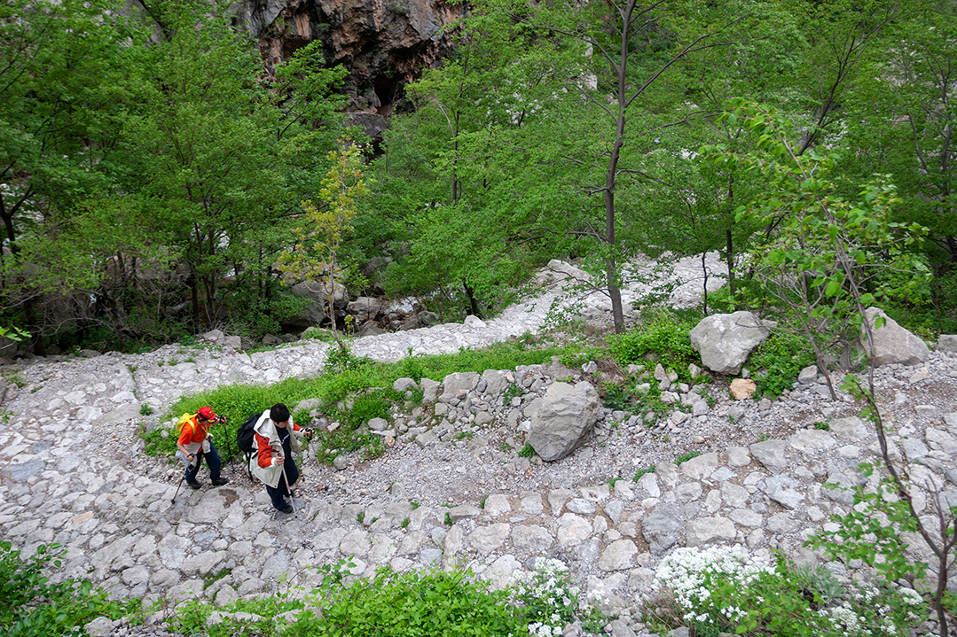 Paklenica National Park: Croatia’s Wild Mountain Paradise - Explore Croatia
